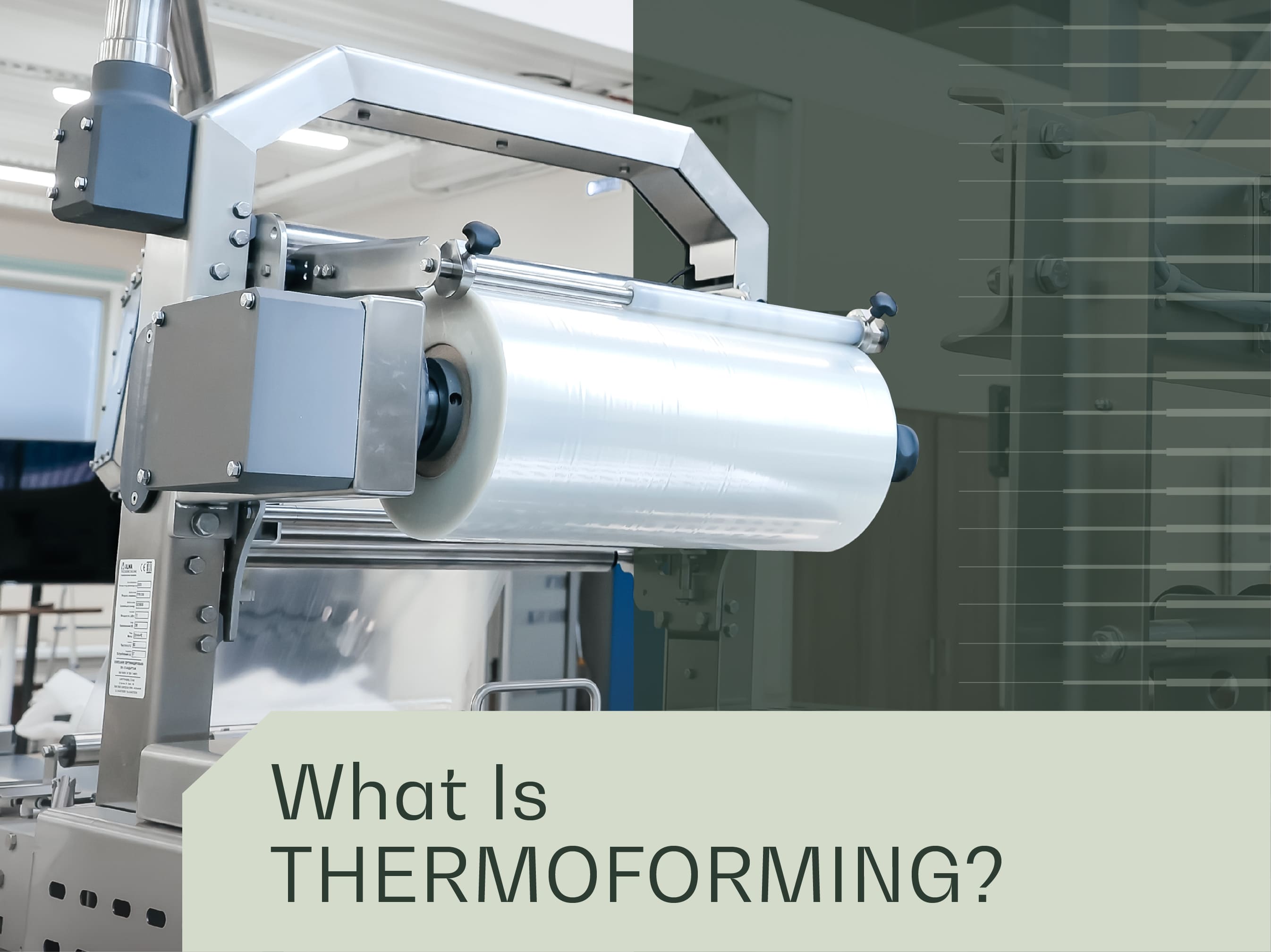 The Thermoforming Plastic Packaging Process, Explained