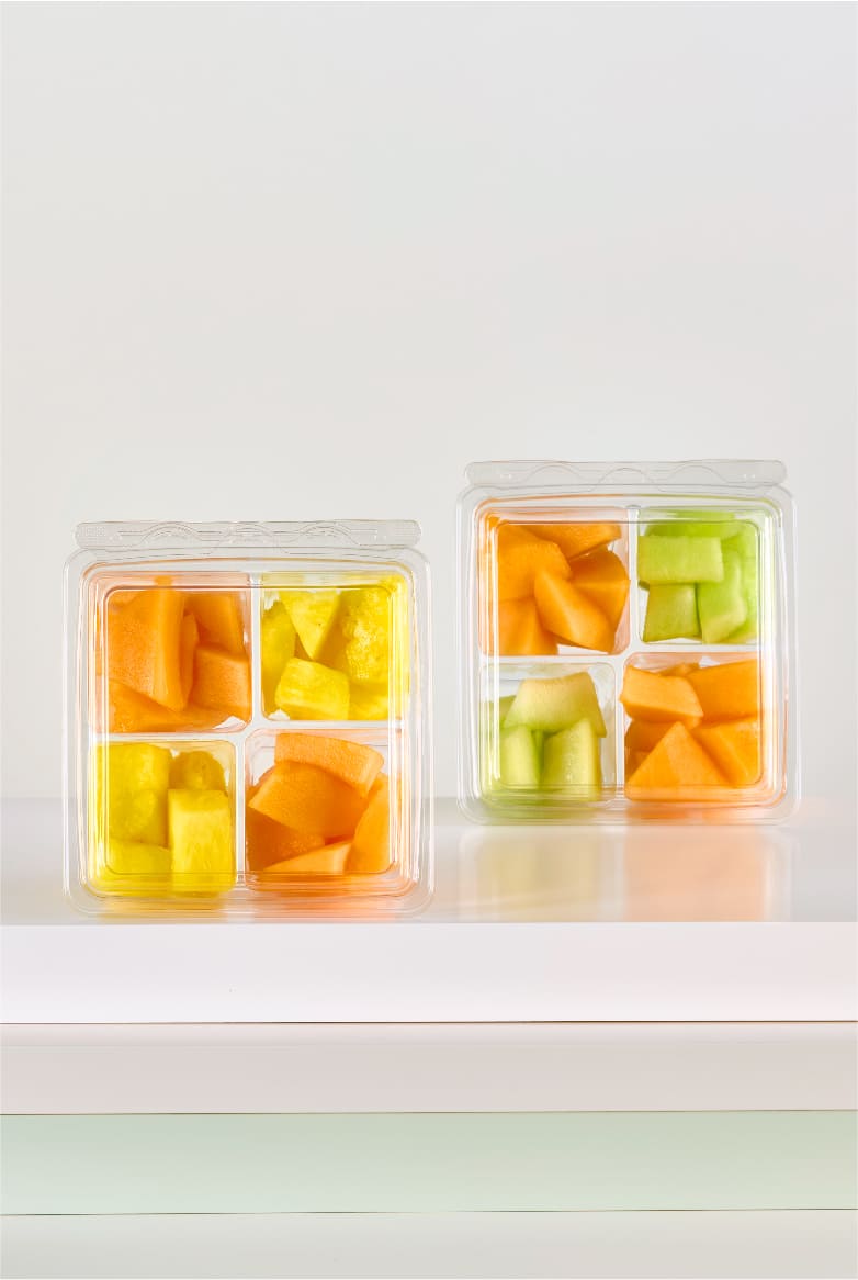 Sectional Food Containers | Lacerta Group